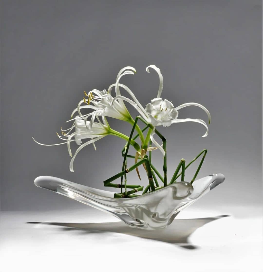 Spider Lily Care and Growing Guide | Plantcarefully