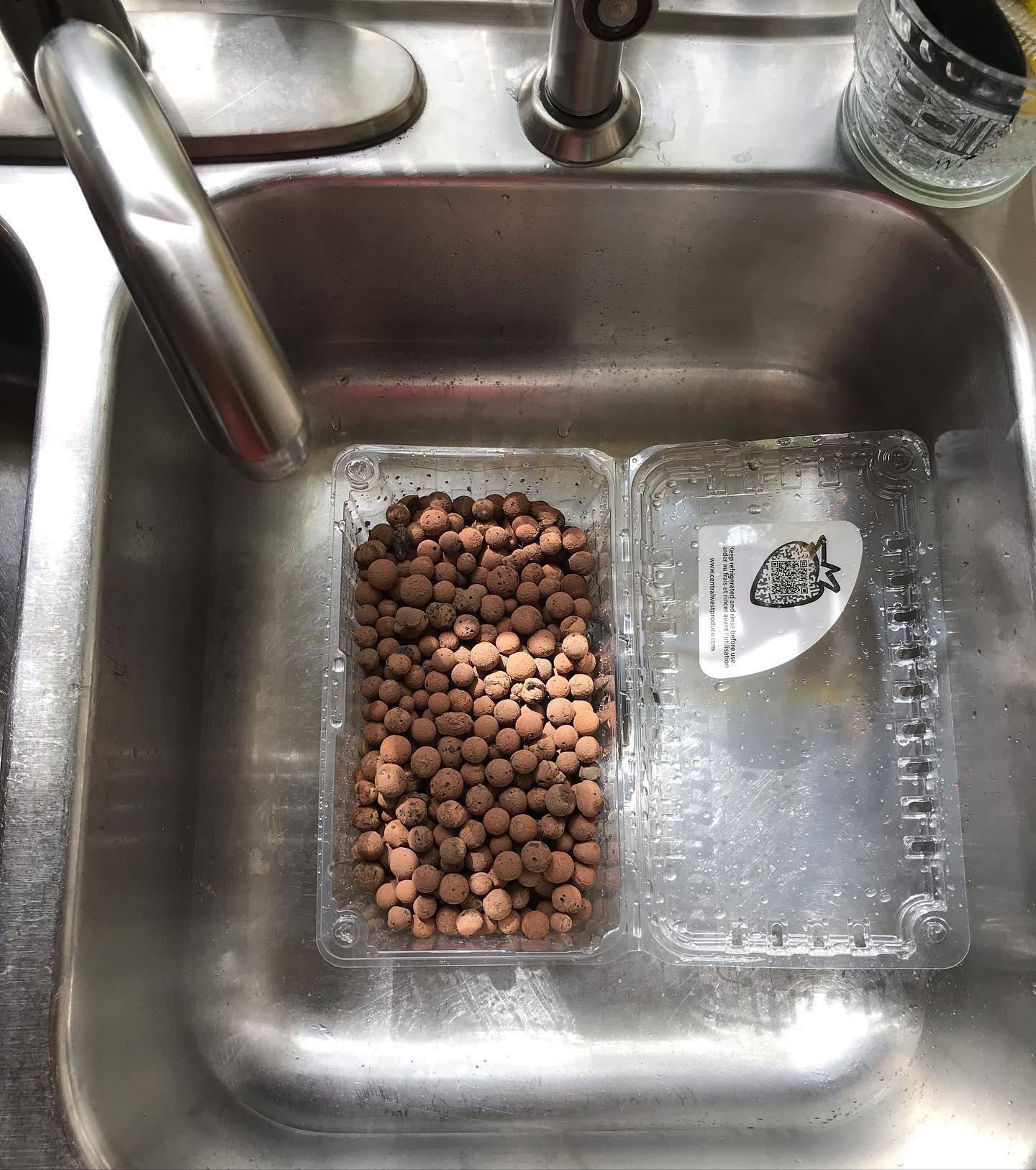 What is LECA? How Clay Balls Can Save Your Plants | Plantcarefully